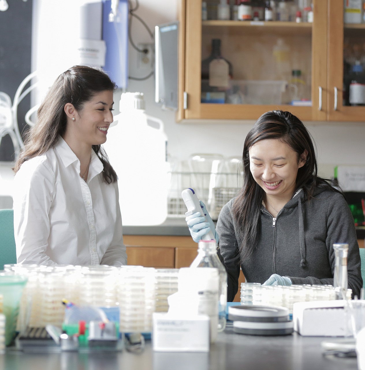 Mentorship | Office of the Provost