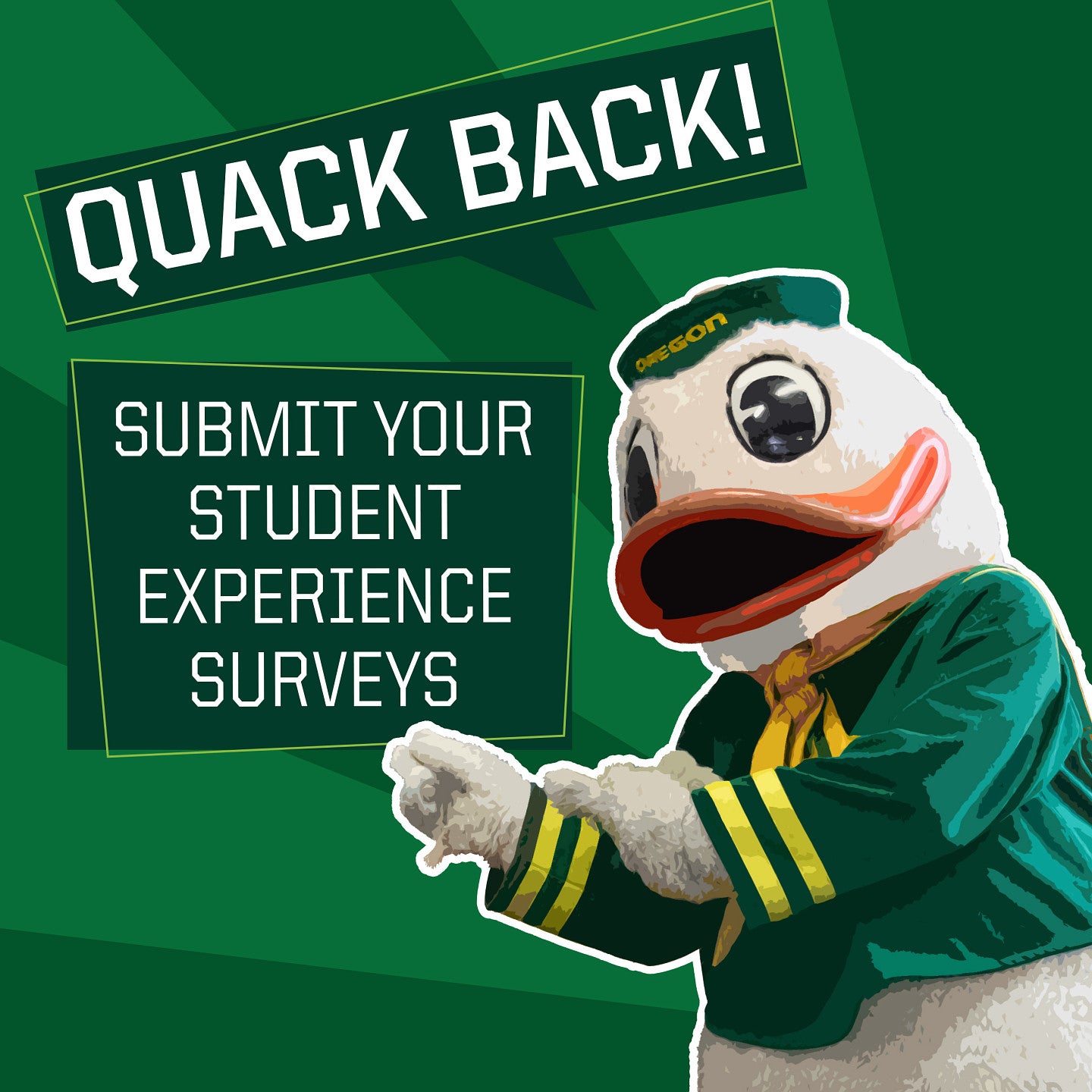 Student Experience Survey | Office of the Provost